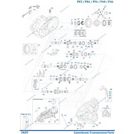 700730 (PF6)